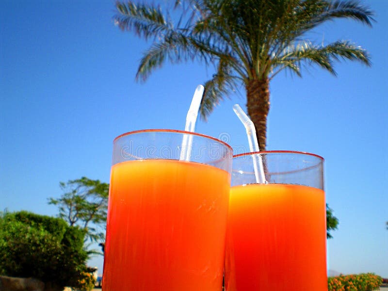 Cocktail on palm tree stock photo. Image of healthy, caribbean - 24681838