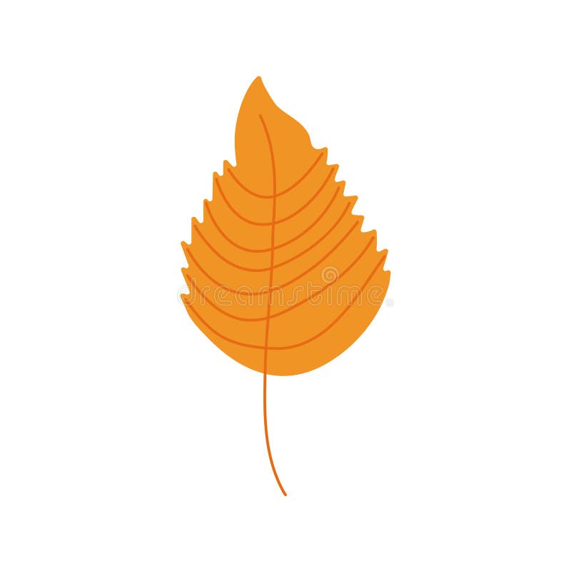 Orange Color Leave Nature Icon Stock Vector - Illustration of spring ...