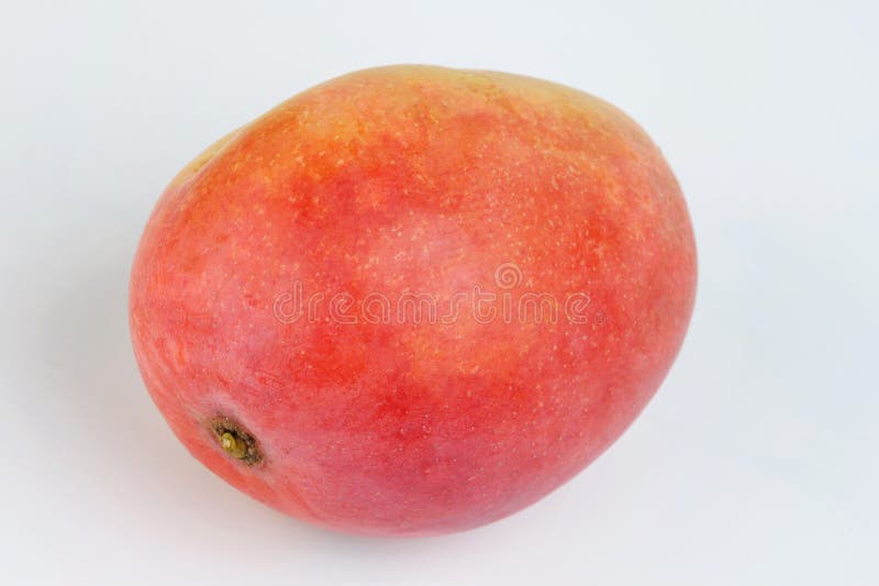 Orange color mango fruit stock image. Image of vegetarian - 280702629