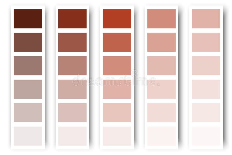 Orange Color Palette. Vector Illustration. Stock Image Stock Vector ...