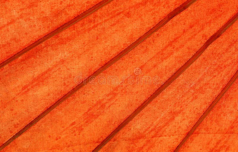 Orange Color Texture Background for Design Art Work Stock Image - Image ...