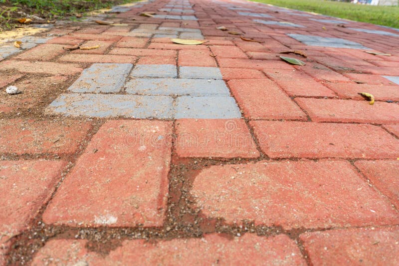 Orange Colored Paving Block Bricks Path in the Park Stock Photo - Image ...