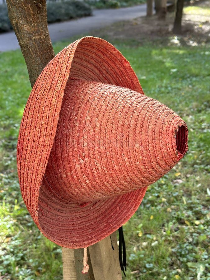 Orange Colored Straw Hat on a Tree Stock Photo - Image of closeup ...