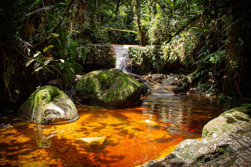 Orange-colored Stream Located in the Ecuadorian Amazon Stock Photo ...