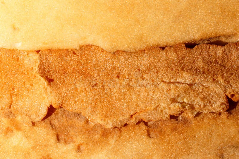 Orange Construction Foam As Abstract Background. Texture Stock Photo ...