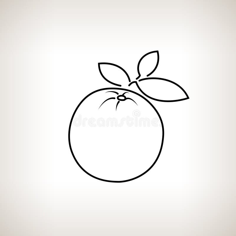 Orange in the Contours stock vector. Illustration of ripened - 85346783