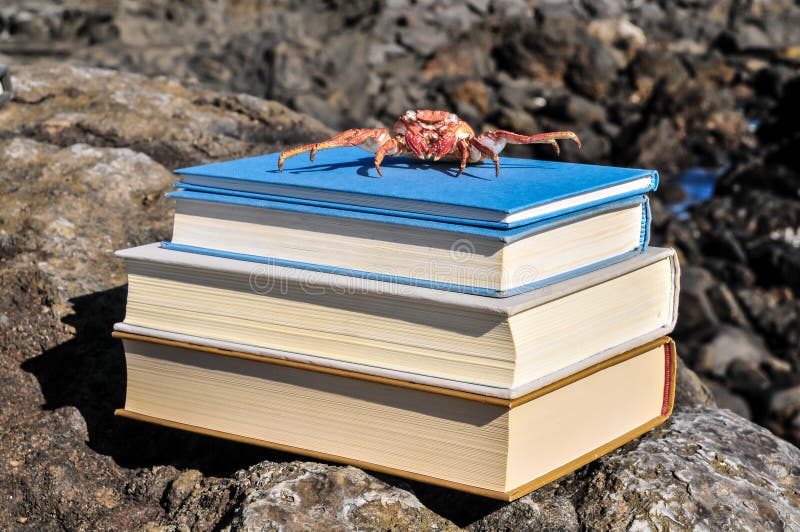 Orange Crab on Blue Books stock photo. Image of crab - 38122578