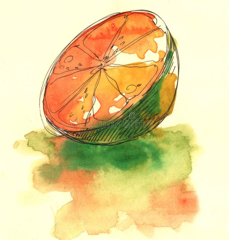 Orange Cut, Section Illustration Stock Illustration - Illustration of ...