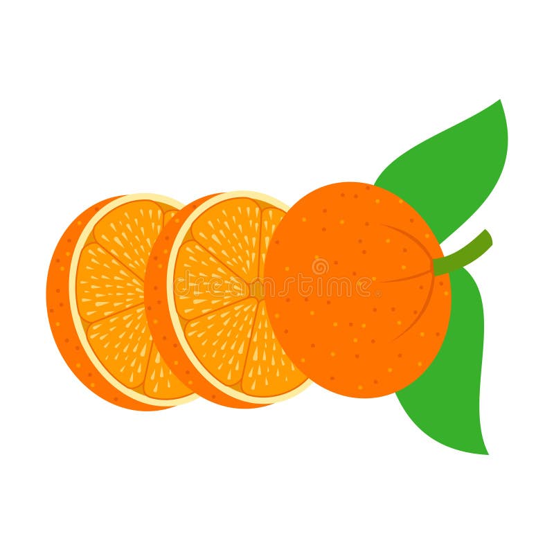 Orange Cutting Illustration Design Slice Part Stock Vector ...