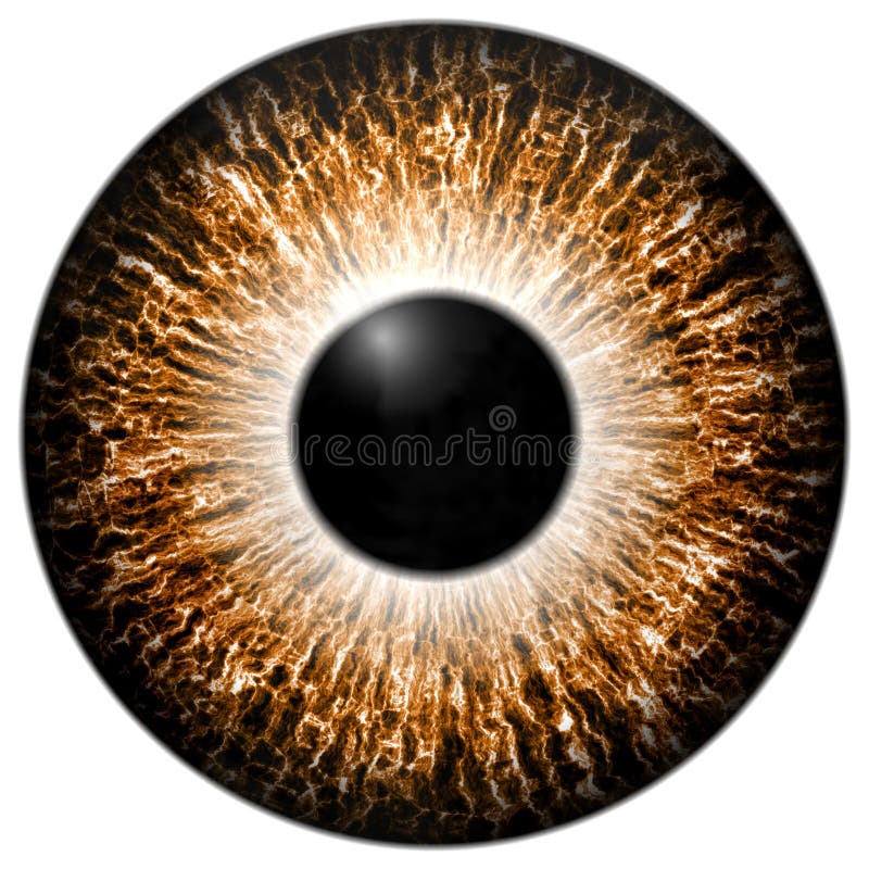 Orange 3d Eye Texture with Black Fringe Stock Photo - Image of makeup ...