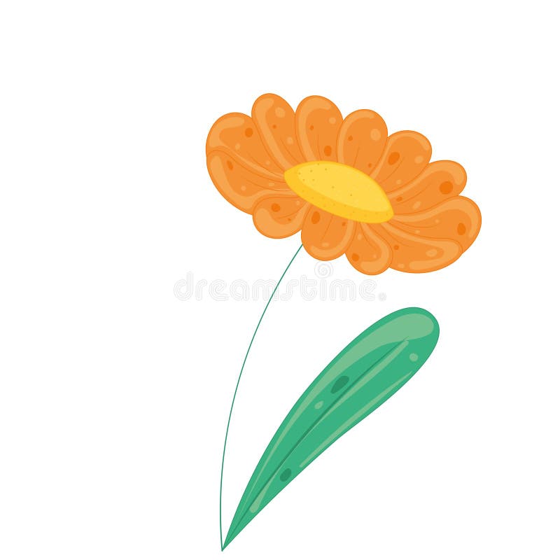 Orange Daisy Flower with Single Green Leaf Design Vector Stock Vector ...