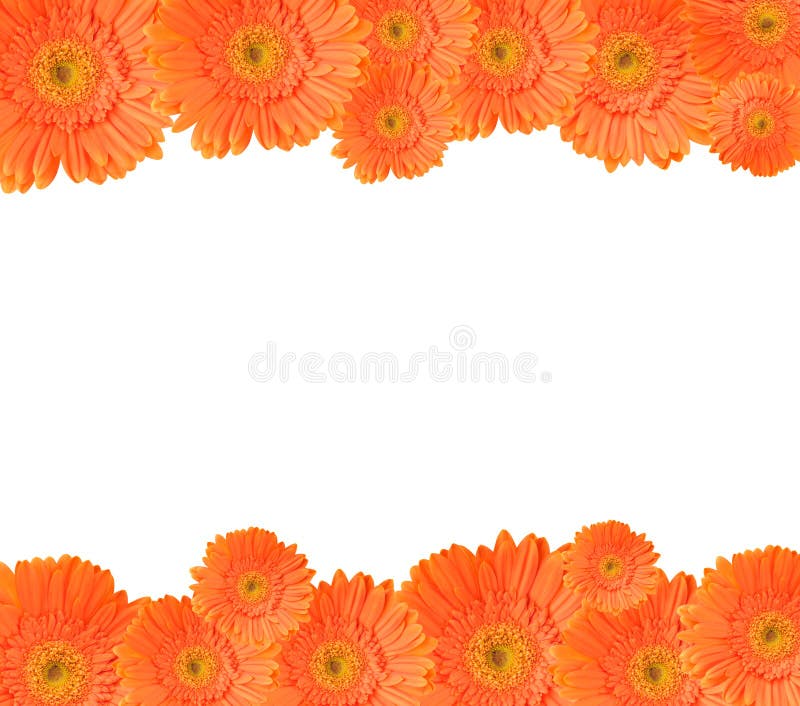 Orange daisy frame stock image. Image of bright, abstract - 20877135