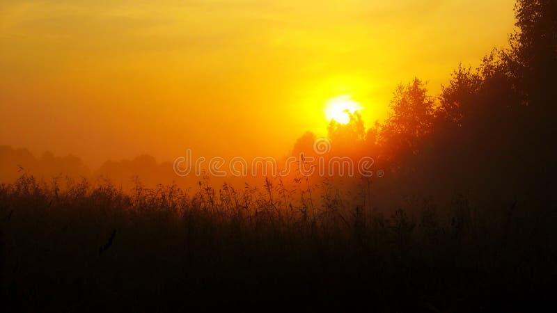 Orange dawn stock photo. Image of forest, harmony, tranquility - 195220912