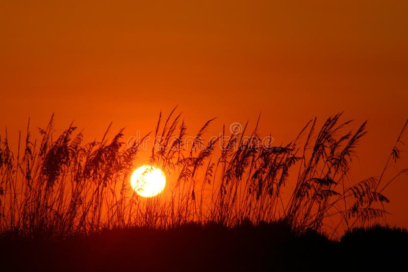 Orange Days end stock image. Image of sunset, saint, pete - 1802355