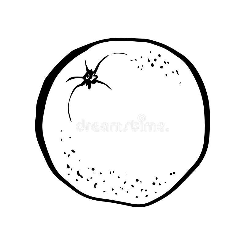 An Orange Doodle Simple Drawing, Sketch Vector Illustration, Outline ...