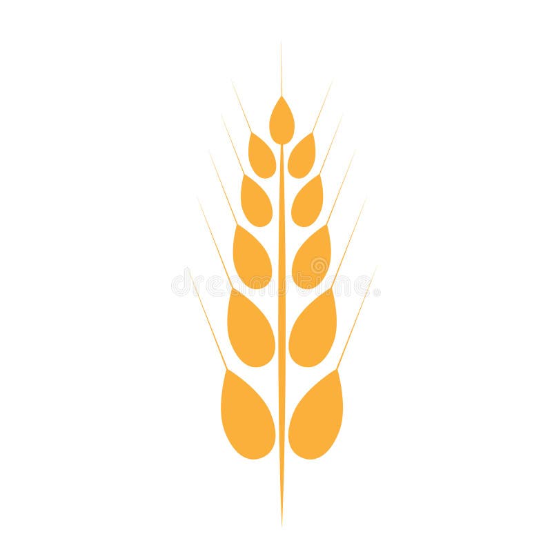 Orange Ear of Wheat Vector Icon. Vector Illustration. Stock Vector ...