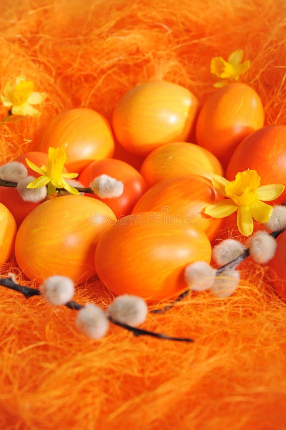 Orange easter eggs stock image. Image of color, sallow - 51181993