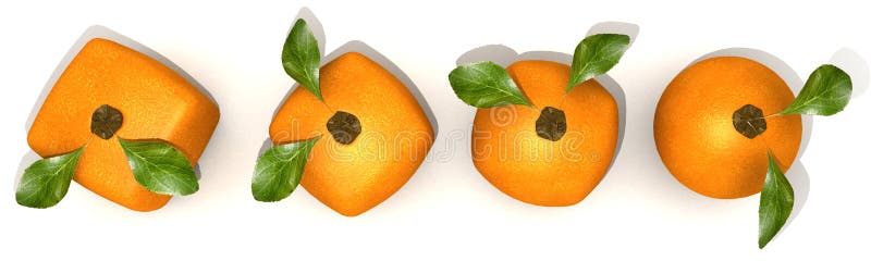 Orange Evolution Aerial View Stock Illustration - Illustration of ...