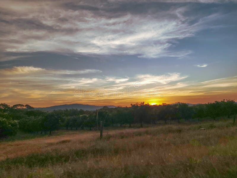 Orange Farm Sunset in Africa Stock Image - Image of horizon, orange ...