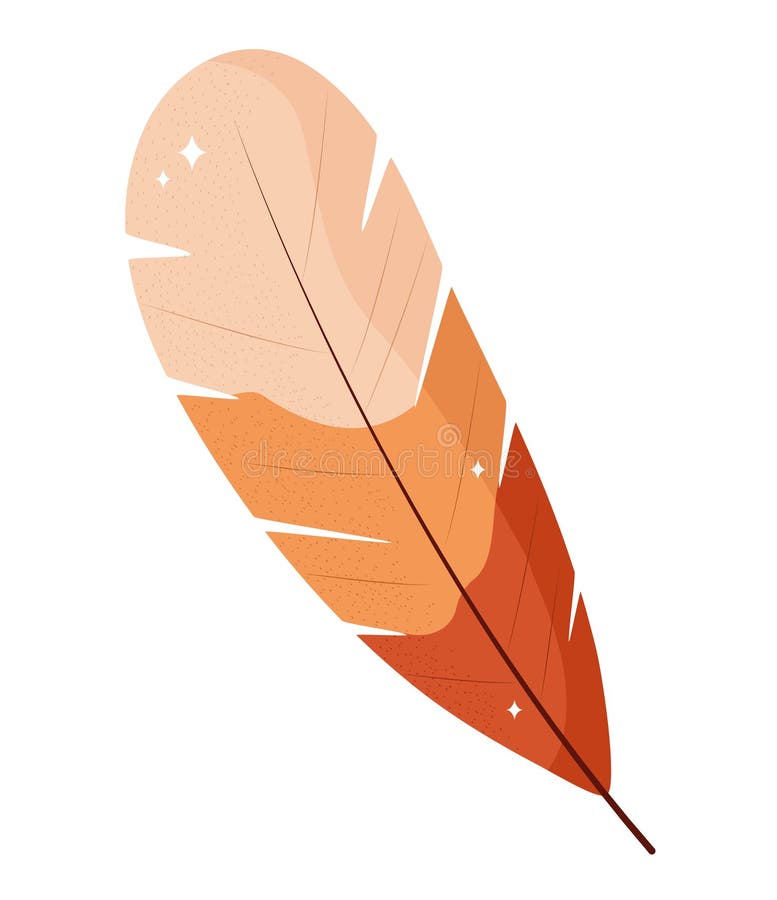 Orange feather design stock vector. Illustration of woodland - 263630117
