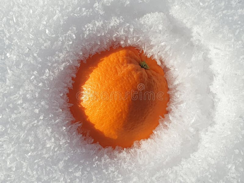 The Orange Fell into the Snow Stock Photo - Image of macro, colorful ...