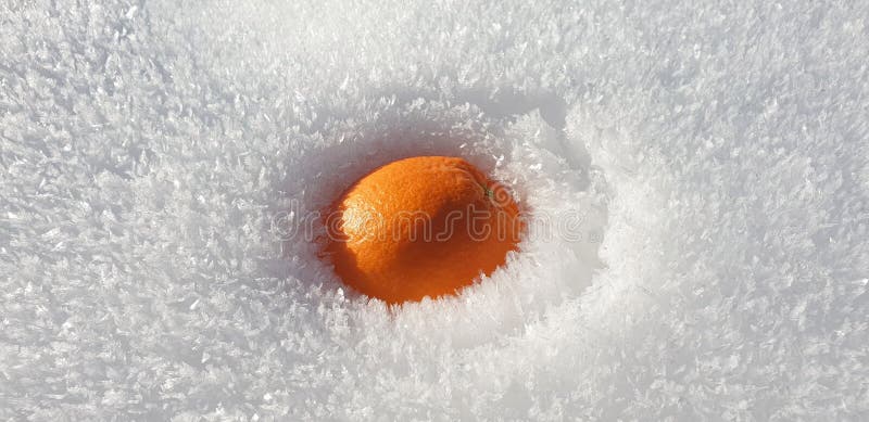 The Orange Fell into the Snow. Stock Photo - Image of outdoor, snow ...