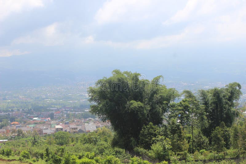 Orange Field in East Java Indonesia Stock Image - Image of city ...