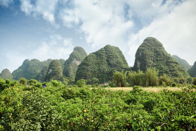 Orange Field with Karst Landform Stock Photo - Image of karst, rurality ...