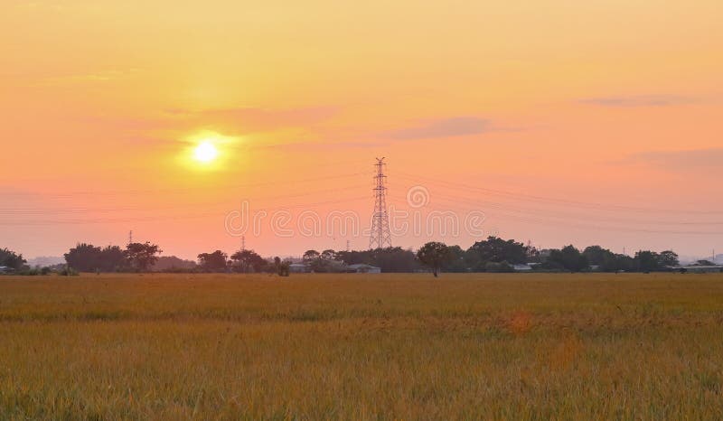 Orange Field Landscape Sunset Stock Photo - Image of sunrise, landscape ...
