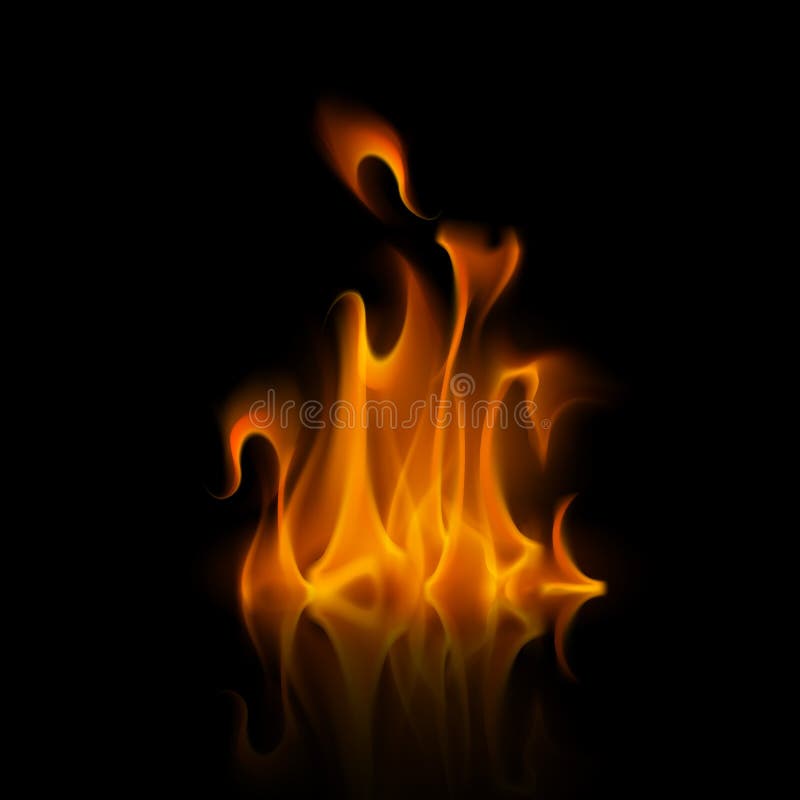 Orange Fire Flame Bonfire Isolated on Background Stock Vector ...