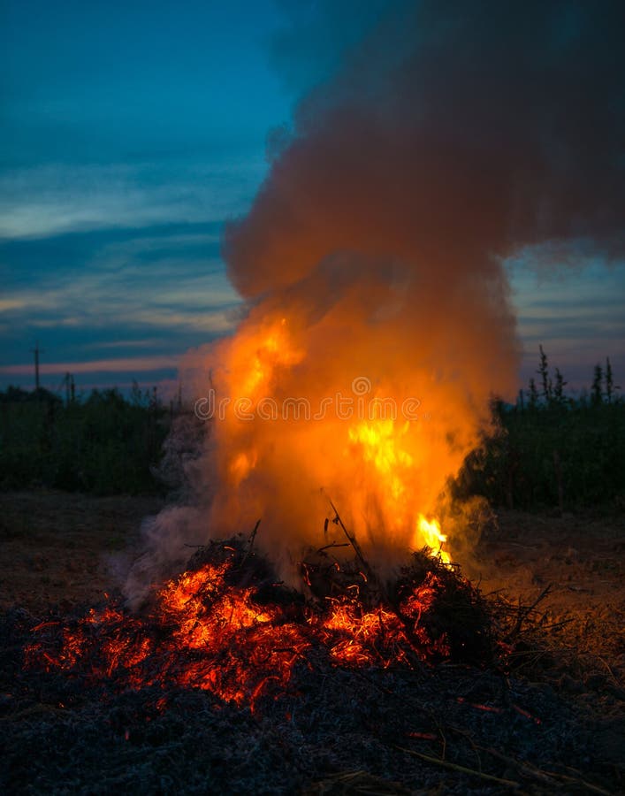 Orange fire flames stock photo. Image of glowing, element - 46045352