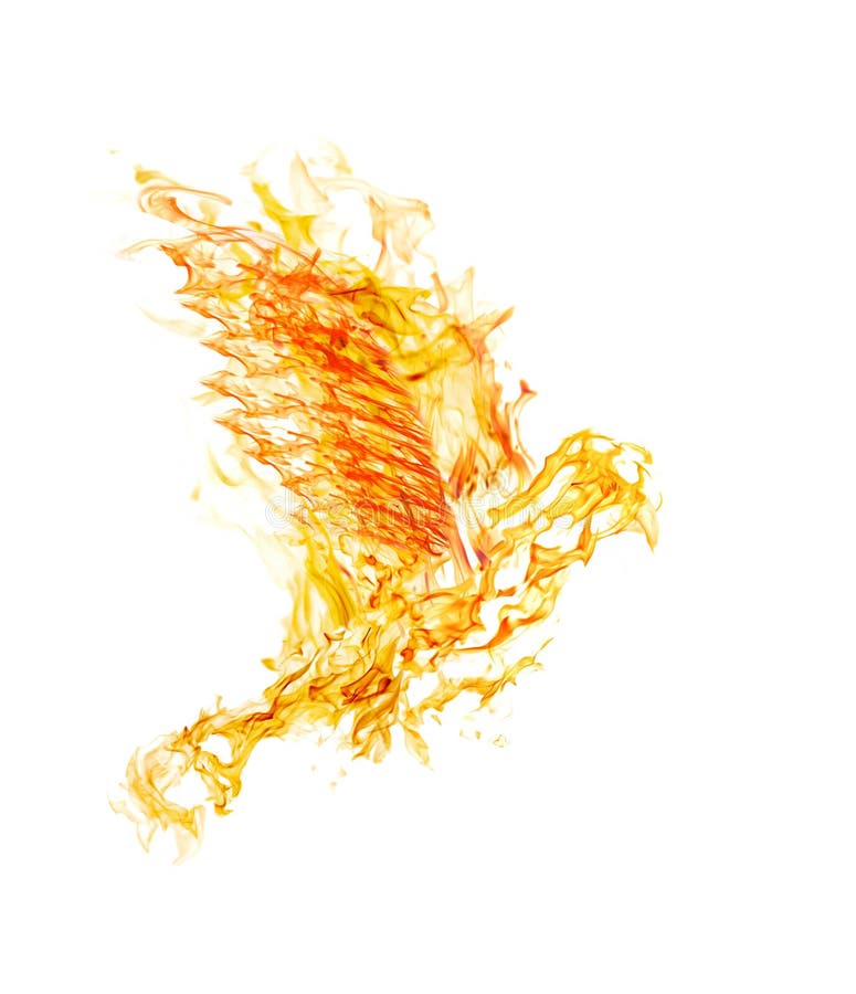 8+ Fire dove Free Stock Photos - StockFreeImages