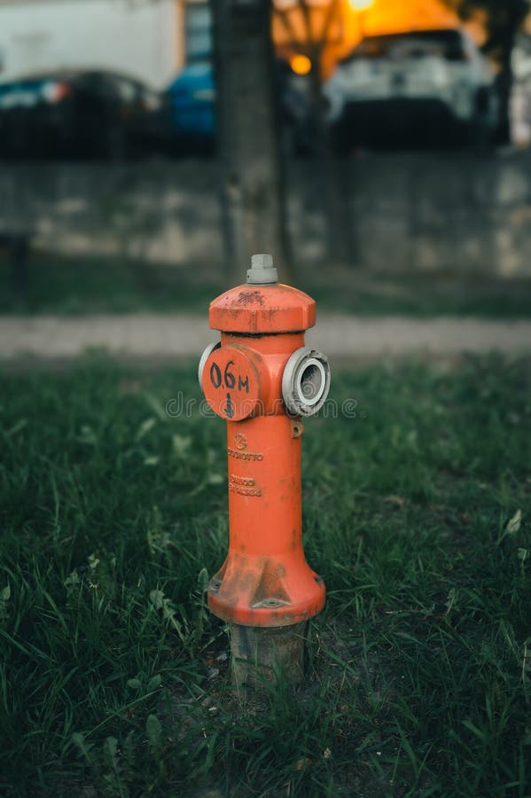 An Orange Fire Hydrant in a Grassy Field Near a Tree Stock Photo ...