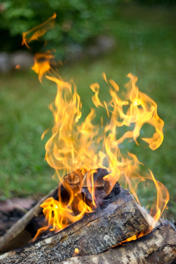 Flame of campfire at night stock image. Image of campfire - 82523301