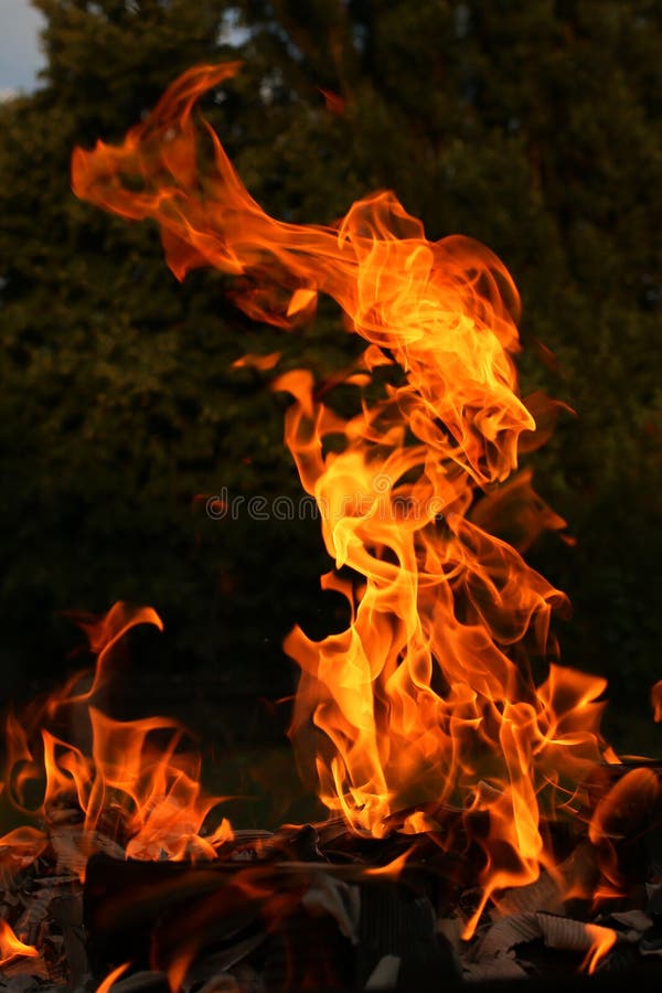 Orange Flame from a Campfire in the Open Air Stock Photo - Image of ...