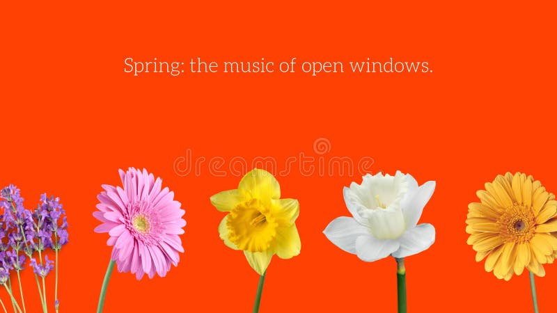 Orange Floral Quote Spring Desktop Wallpaper Stock Illustration ...