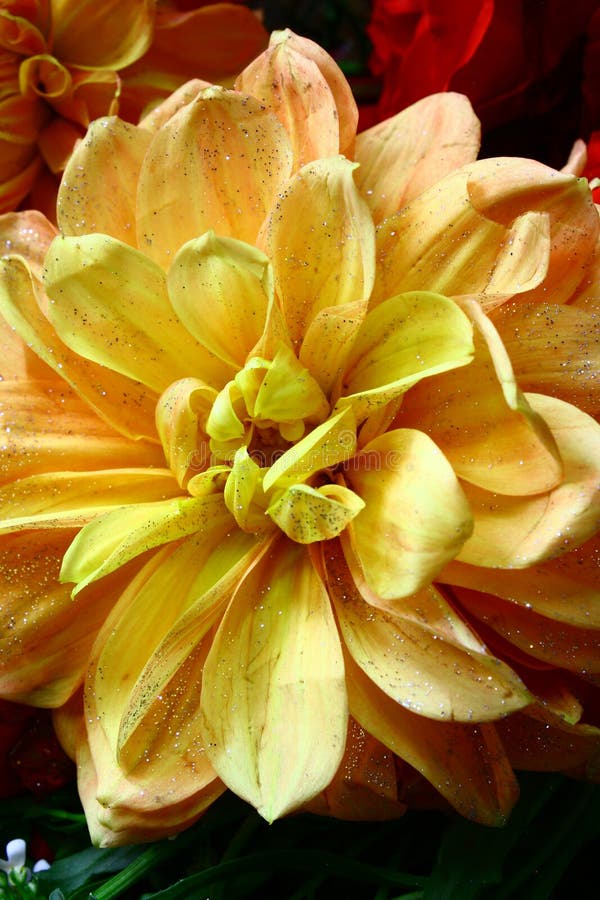 Abstract flower painting stock photo. Image of abstract - 37530602