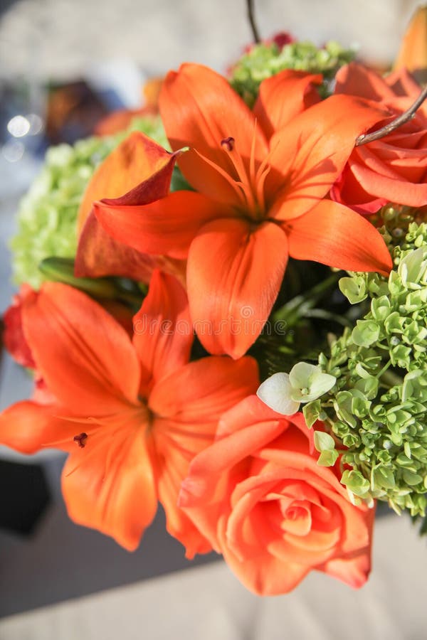 Orange flowers in bloom stock image. Image of blooms - 27901715