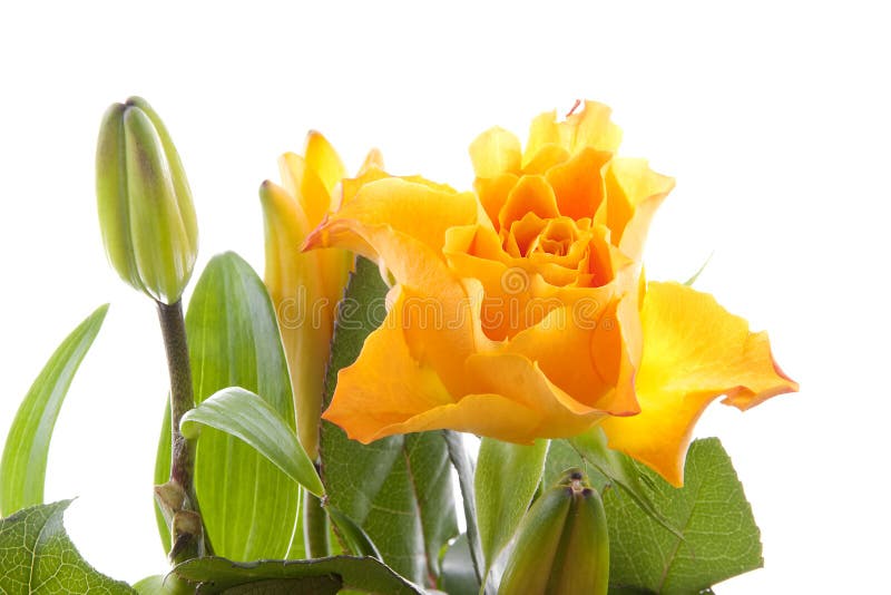 Orange Flowers: Rose and Lilies Stock Image - Image of closeup, leaves ...