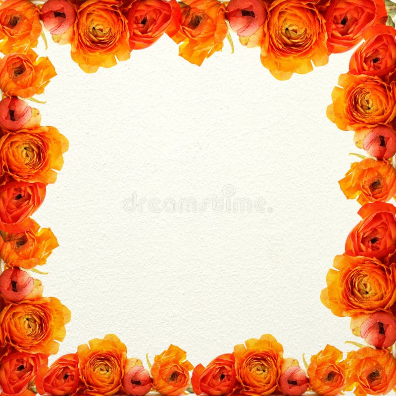 Orange Flowers and White Texture Background Stock Illustration ...