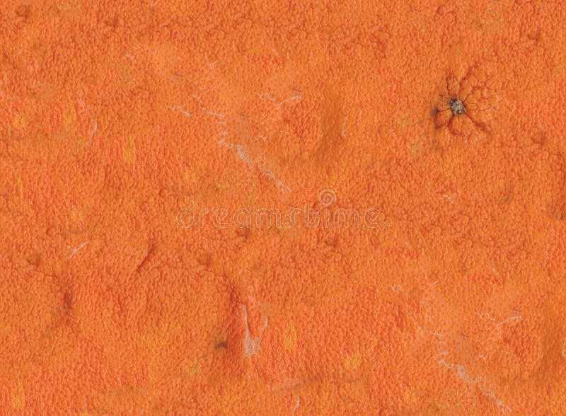 Orange food stock photo. Image of citrus, eating, natural - 103658098