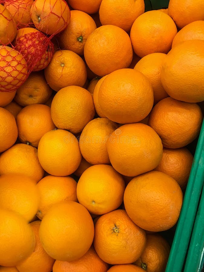 Orange food isolate stock photo. Image of circle, detail - 103657102