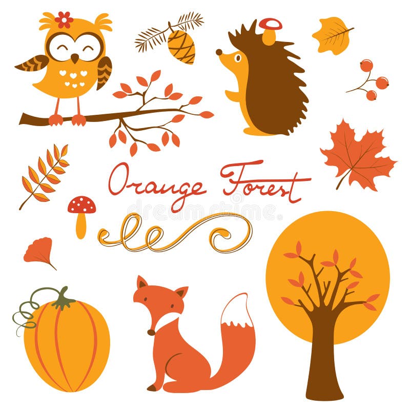 Orange Forest Colurful Collection Stock Vector - Illustration of berry ...