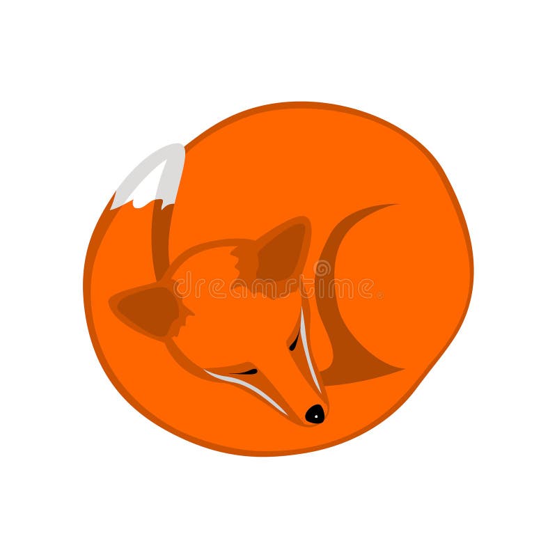 Orange Fox in Circle Shape Logo Illustration Vector Animal Tattoo Stock ...