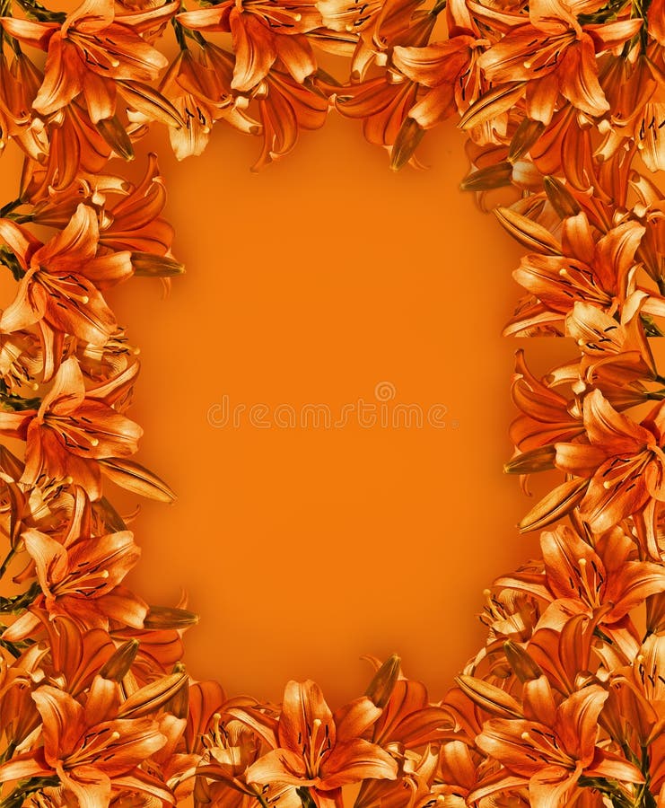 576 Orange Lily Border Stock Photos - Free & Royalty-Free Stock Photos ...
