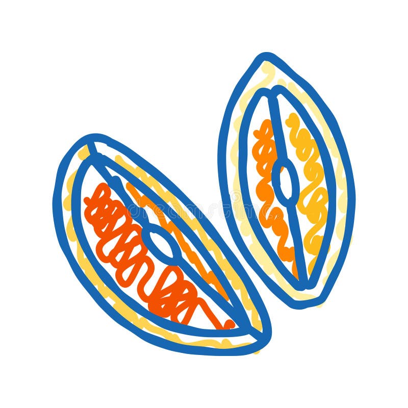 Orange Fresh Cut Slice Icon Doodle Illustration Stock Vector ...