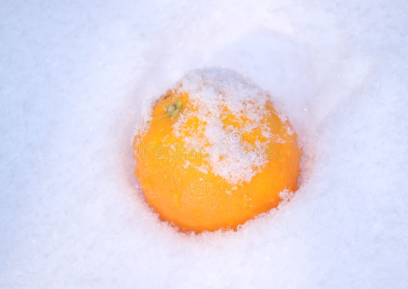 Orange on the fresh snow stock photo. Image of cold, holiday - 26933118