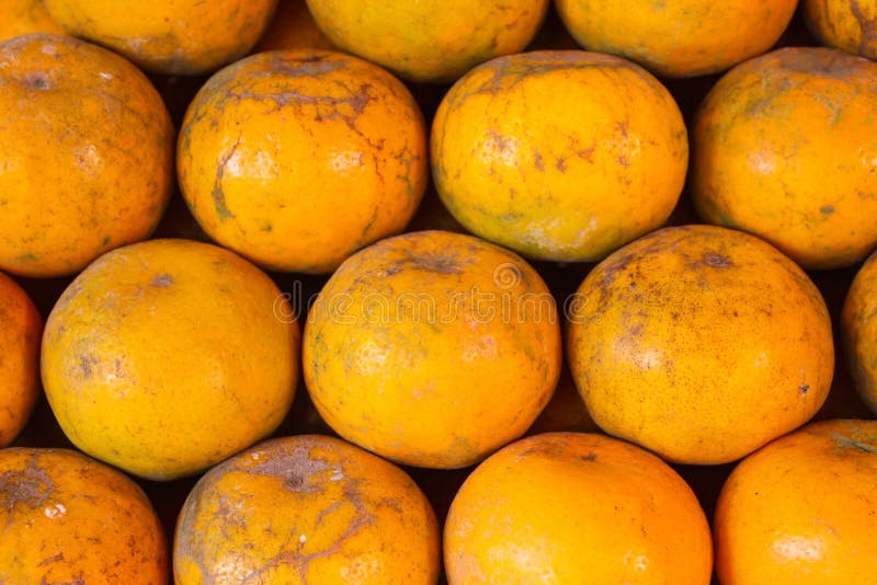 Orange Frucht stockfoto. Bild von pfad, rund, frisch - 116931092