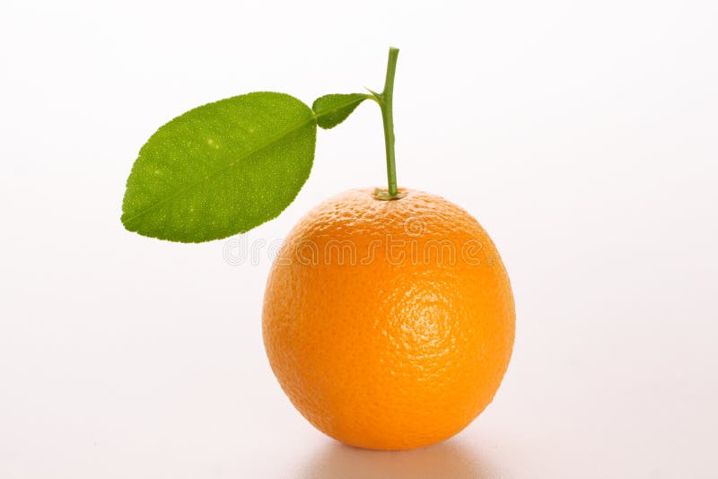 Einzelne orange Frucht stockbild. Bild von fruchtig, diät - 11523203