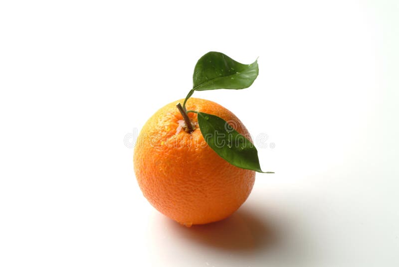 One big orange stock image. Image of groceries, copy, medicine - 3865133